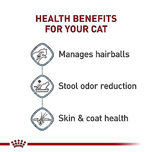 Royal Canin Indoor Long Hair Adult Dry Cat Food, 6 lb bag