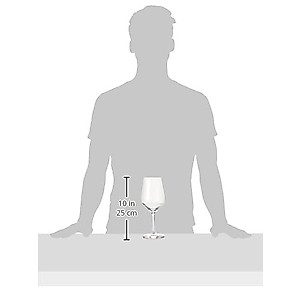 Stolzle Revolution Red Wine Glasses, 17 oz (Set of 6)