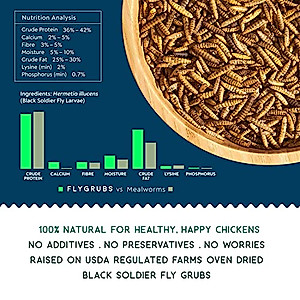FLYGRUBS Superior to Dried Mealworms for Chickens (5lb) - 85X More Calcium Than Live mealworms - Non-GMO Chicken Feed - BSFL Treats for Hens, Ducks, Turkeys, Wild Birds, Turtles, Quails