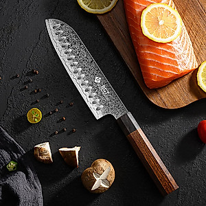 BGT 7 inch Santoku Knife, Japanese Sharp Chef Knife, Japanese VG10 67 layer Damascus Steel Kitchen Knife with Ebony Wood Handle and Gift Box
