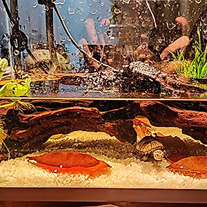 kathson Large Natural Aquarium Driftwood Reptiles Branches Terrarium Ornament Sinkable Wood Decor Trunk Fish Tank Log Habitat Decoration (12"-17")