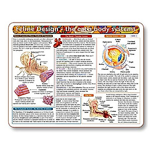 Feline Design-The Cat's Body Systems - A Double-Sided, Laminated Cat Anatomy Chart: A Learning and Teaching Chart