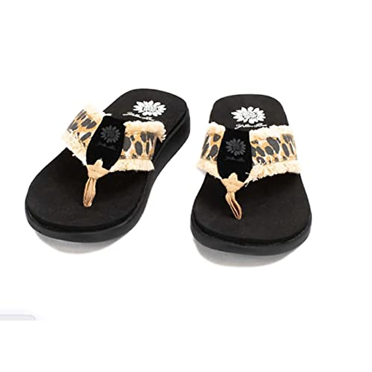 Gisella Cheetah / 9.5