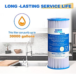 GOLDEN ICEPURE 5 Micron 10" x 4.5" Whole House Sediment Pleated Water Filter Compatible for DuPont WFHDC3001, GE FXHSC, Culligan R50-BBSA, R50-BB, W50PEHD, GXWH40L, CP5-BBS 2-PACK