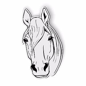 Horse - 5" Magnet for Car Locker Refrigerator