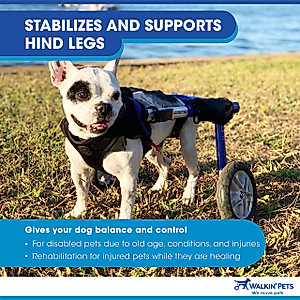 Walkin' Wheels Dog Wheelchair - for Medium Dogs 26-49 lbs - Veterinarian Approved - Dog Wheelchair for Back Legs