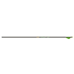 Gold Tip Velocity XT 300 Arrows with 2-Inch Raptor Vanes (1-Dozen)