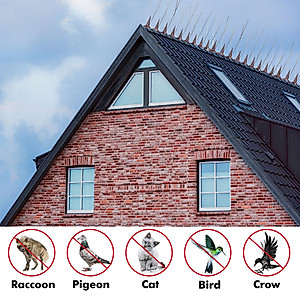 BORHOOD Bird Spikes, 16 Pack Bird Deterrent Spikes, Bird Repellent Devices Outdoor, Bird Spikes for Pigeons and Other Small Birds, Cats Squirrels Raccoons for Fence Roof Windowsill Coverage 16.4 Feet