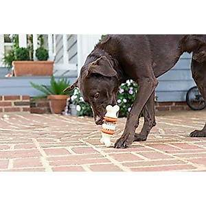 PetSafe Sportsmen Bristle Bone - Treat-Holding Toy for Dogs - Treat Rings Included - Treats Thoroughly Mixed During Bake to Prevent Choking - Rigorously Tested Ingredients - Orange, Large