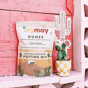 IvyMay Dunes Succulent Soil ― Organic Cactus Soil Potting Mix for Succulents, Ready to Use Potting Soil Indoor Plants with Perlite, Pumice, Earthworm Castings, Essential Oils ― 5 qt