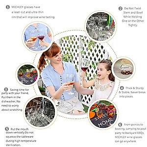 MICHLEY Unbreakable Wine Glasses, 100% Tritan Plastic Shatterproof Large Wine Glasses 20 oz, Set of 2