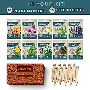 Herbal Tea Seeds Variety Pack - 10 Medicinal Herbs Seed Packets - Certified Organic Non GMO Herb Seeds - Gifts for Tea Lovers