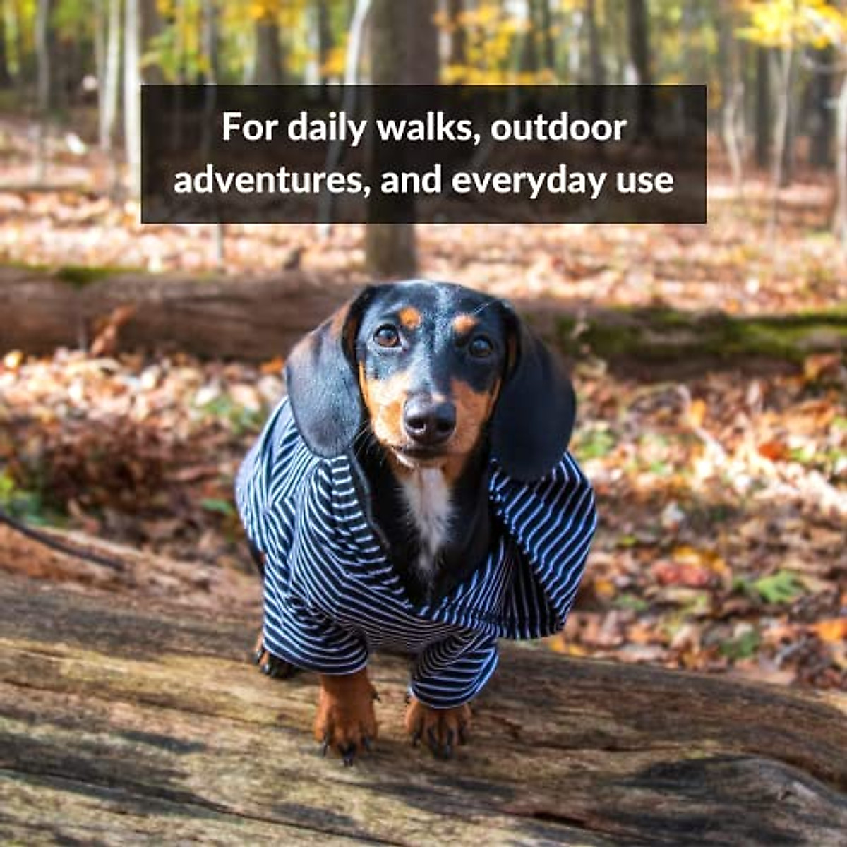 DJANGO Dog Hoodie and Super Soft and Stretchy Sweater with Elastic Waistband and Leash Portal (Medium, Black)