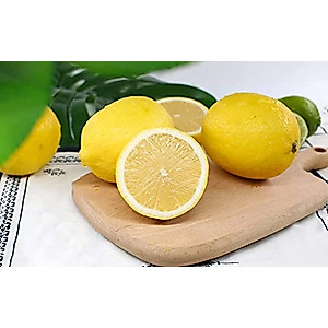 Lemon Seeds for Planting - 50 Seeds, Non-GMO Heirloom and Organic High Survival Rate Lemon Tree Seeds Planting for Home Garden