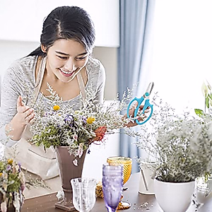 Sunnyac Garden Pruning Shears Scissors, 2 Pack Gardening Tools Hand Pruners, Floral Secateurs, Tree Trimmer, Clippers for Cutting Flowers and Plants, Trimming Branches, Bonsai, Fruits Picking (Color2)