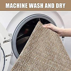 Collive Comfy Area Rug 4' x 6', Tan/Cream Woven Cotton Bedroom Rugs, Modern Indoor Accent Rug Floor Carpet with Tassel for Living Room, Nursery Room, Dining Room, Bedside, Office, Patio Decor