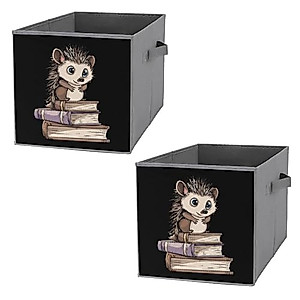 Cute Hedgehog Book Foldable Storage Bins with Handles Storage Cubes Closet Organizer for Living Room Bedroom 2PCS