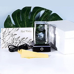 3D Crystals Taurus Zodiac Astrology Gifts For Women Men,Taurus Glass Figurine Decor Constellation Stuff April May Birthday Gifts For Girlfriend Woman Aunt Wife Keepsake Sign Symbolic Energy: Possess