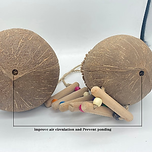 kuminamoja Coconut Bird's Nest with Ladder for Parrots Parakeet Conures Cockatiel and Small Animals (Large)