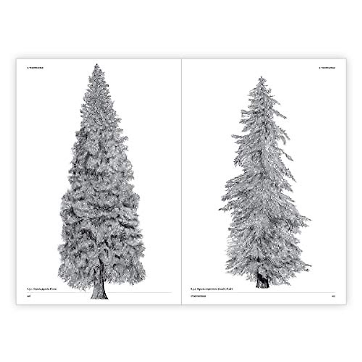 The Architecture of Trees