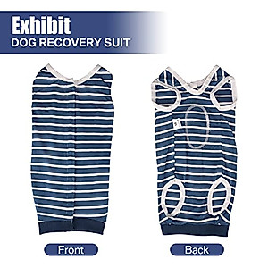 Surgical Recovery Suit for Dogs, Dog Vest to Keep Dog from Licking Abdominal Wound Protector, Pet Neck Collar Alternative (XL,Blue Stripe)