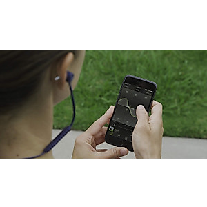 JayBird Tarah Bluetooth Wireless Sport Headphones for Gym Training, Workouts, Fitness and Running Performance: Sweatproof and Waterproof – Solstice Blue/Glacier