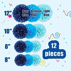 12 Pcs Tissue Pom Poms Kit, Tissue Paper Flowers for Birthday, Boy Baby Shower, Nursery, Graduation, Bachelorette Party Decoration (Blue Mix)