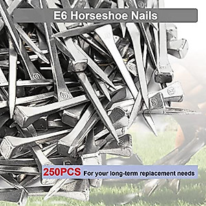 KUIDAMOS 250PCS Horseshoe Nails, Horseshoes Equipment Equestrian Sport Equipment Horse Training Supplies Tool 2.1 Inch E6 Hoof Nails for Horse Race