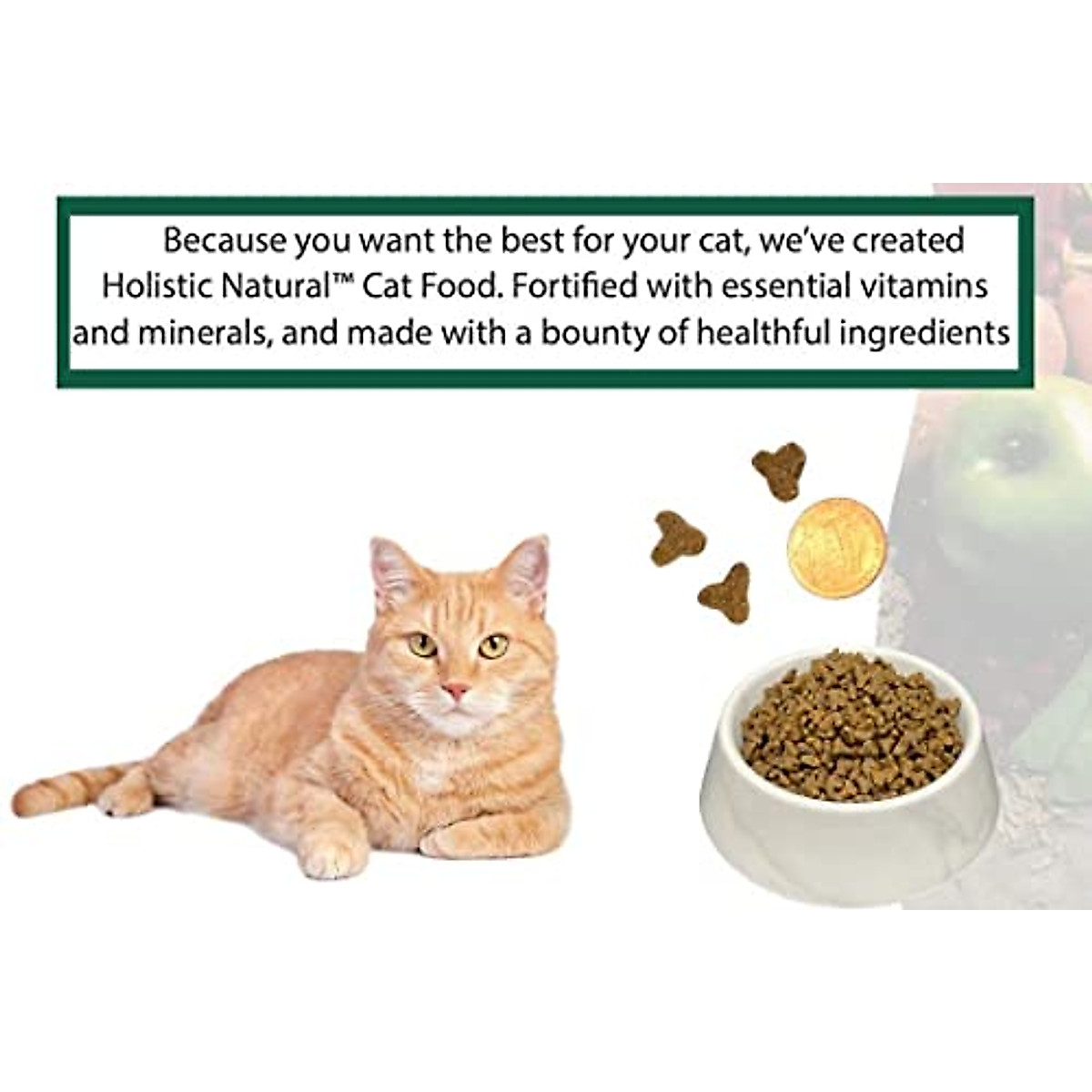 Bench & Field Holistic Natural Premium Adult Dry Cat Food, Chicken Meal and Brown Rice Recipe 3 lb Bags (Pack of 3)