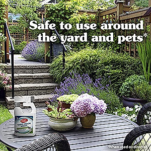 Simple Solution Yard Odor Away! Hose Spray Concentrate | Pet Odor Eliminator for Outdoors | 32 oz