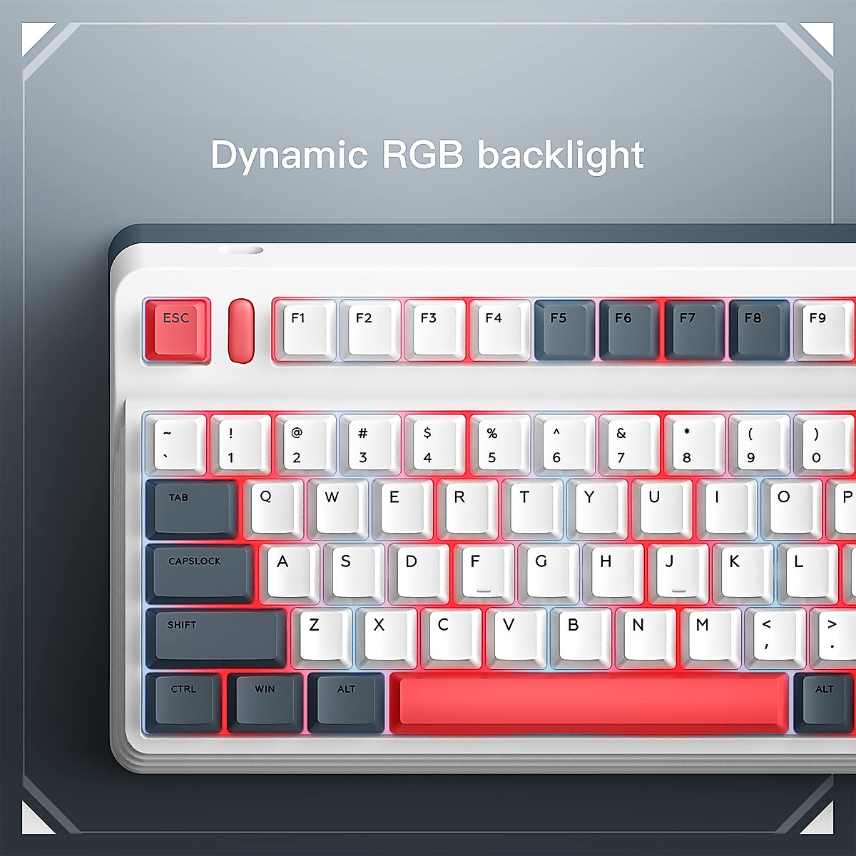 iQunix L80 Gaming Keyboard, 2.4G Wireless Mechanical Keyboard with Cherry MX Brown Switch, Compact 83 Keys RGB LED Backlit Hot Swappable Keyboard for Windows/Mac/Android/iOS