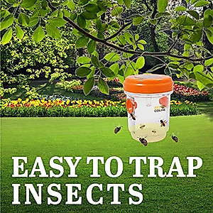 BEE COLINE Wasp Trap Outdoor Hanging - Solar Powered Bee Trap Outdoor - Wasp Killer for Wasps, Hornets, Fruit Flies, and Insects - Effective Insect Trap - Bee Killer and Yellow Jacket Trap Pack of 2