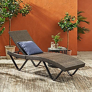 Christopher Knight Home San Marcos Chaise Lounge, Grey