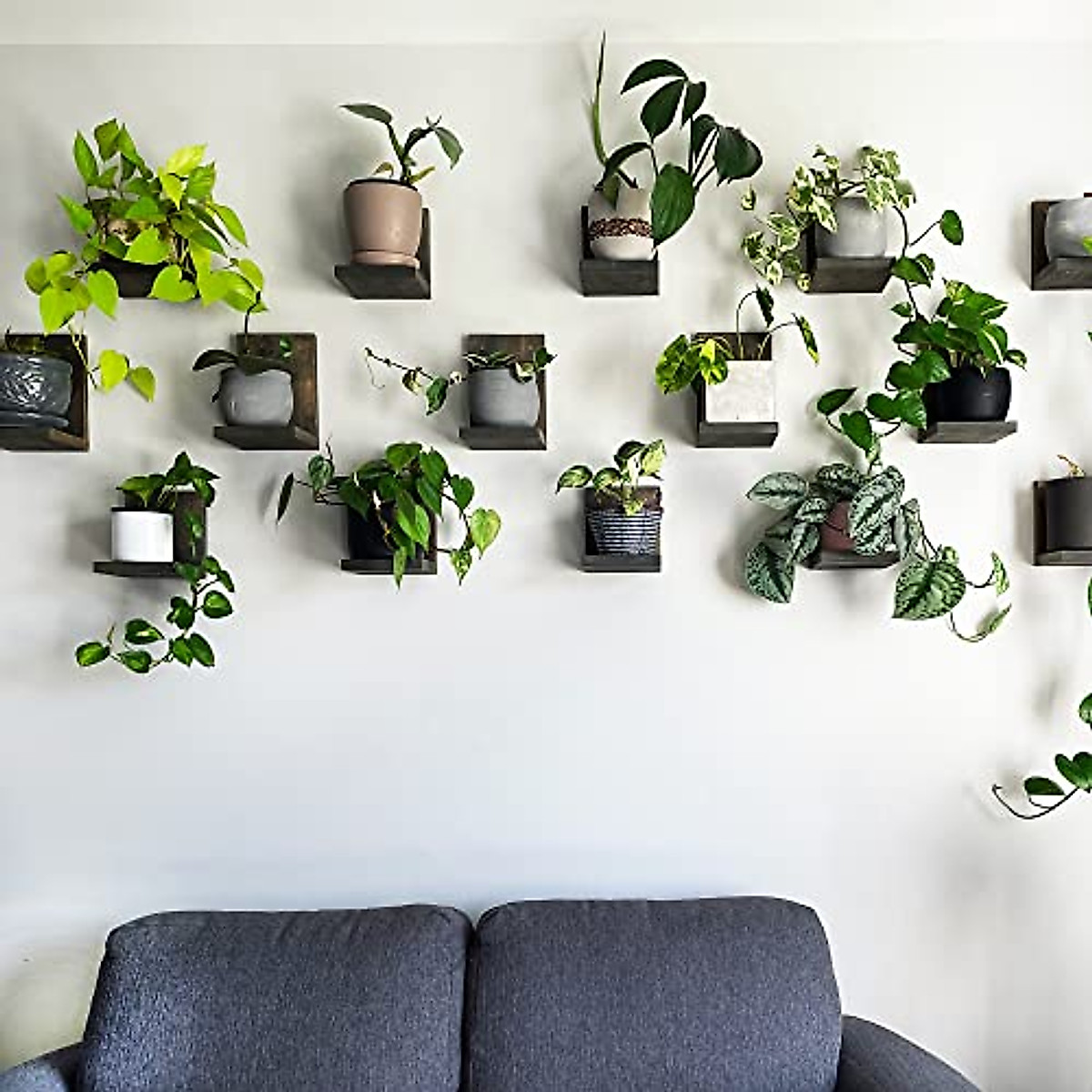 Daniel's Plants Midcentury Modern Gallery Wall Plant Shelf | Pack of 3 Wooden Shelves | L Shaped Floating Shelf Kit | Floating Shelves | Wood Floating Shelf