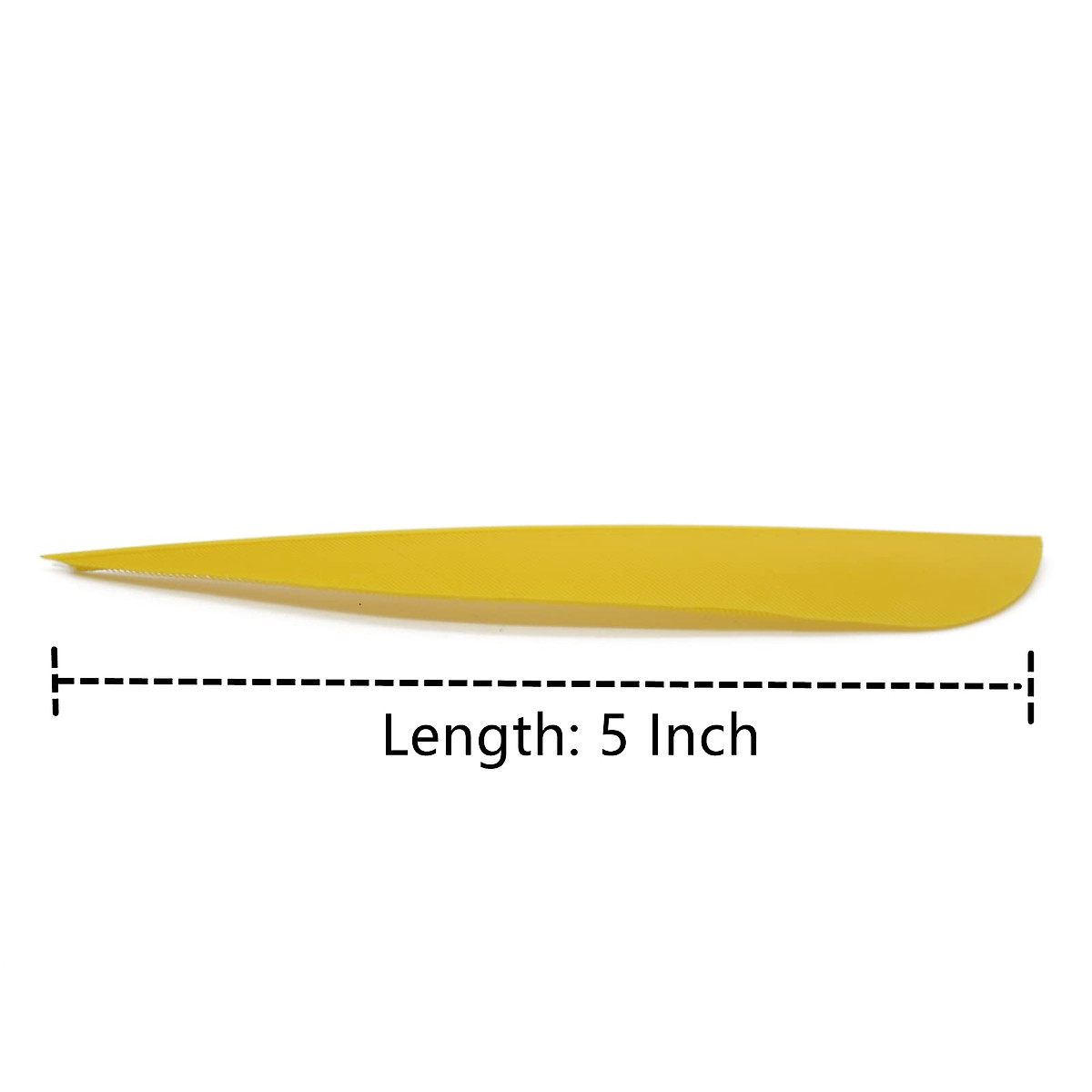 MILUWOND Arrow fletching 5 Inch Parabolic Shape Real Arrow Feather fletchings for Arrow Hunting Arrow DIY (50 Pack)