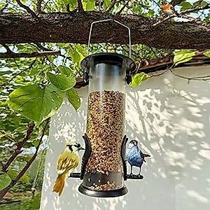 Suspension Automatic Bird Feeder