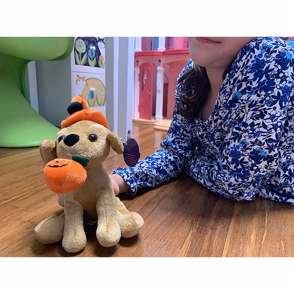 Plushland Halloween Pawpals 8 inches Puppy Dog Plush Stuffed Toy Comes with Hat and Halloween Jack O Lantern - Pumpkin for Kids on This Holiday (Labrador)