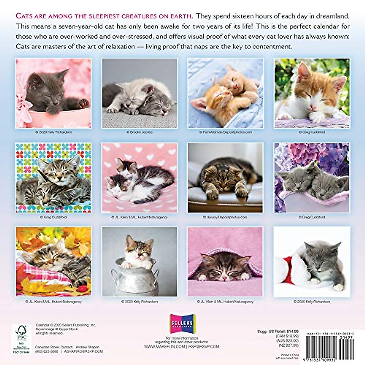 2021 Cat Naps 16-Month Wall Calendar