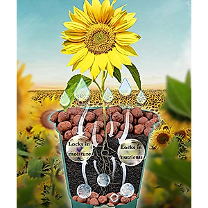 Voulosimi Clay Pebbles Hydroponic Rocks Organic Ceramsite Grow Media for Horticultural,Orchids,Drainage (6.5 LB)