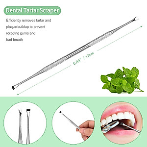 Dental Tools, Professional Dental Pick Tools Kit, Teeth Cleaning Calculus Tool for Dentist, Personal Using, Pets Oral Care with Dental Mirror Dental Tooth Tartar Plaque Scraper Remover Dental Probe