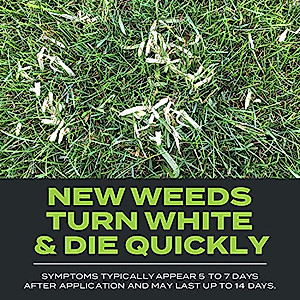 Scotts Turf Builder Triple Action Built For Seeding: Covers 4,000 sq. ft., Feeds New Grass, Lawn Weed Control, Prevents Crabgrass & Dandelions, 17.2 lbs.