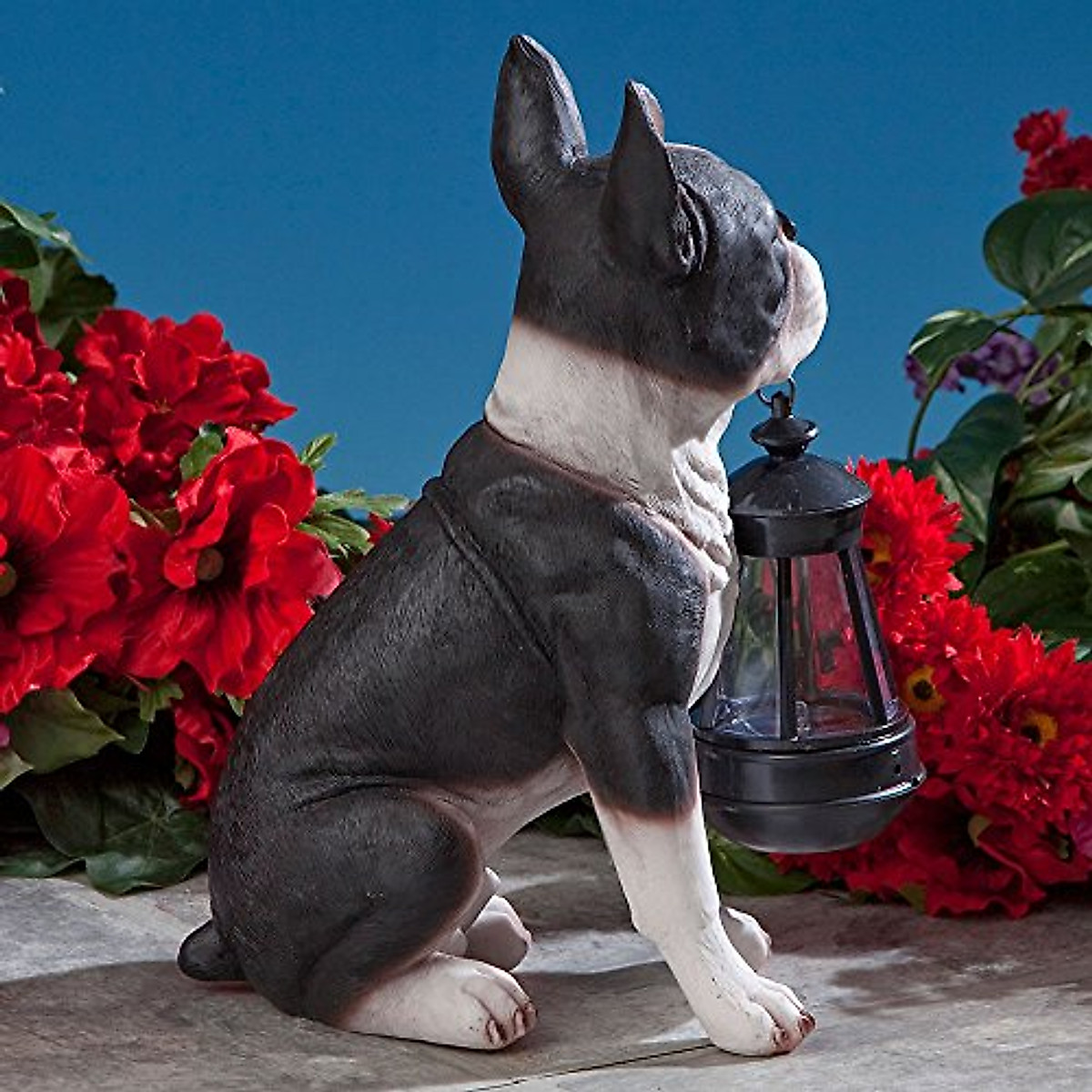 Bits and Pieces - Boston Terrier Solar Lantern Statue - Yard Decorations - Solar Powered Garden Lantern - Resin Dog Sculpture - Outdoor LED Lighting