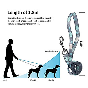 Pet Dog Harness, Walk-in Small Dog Harness and Leash Set, Soft and Non-Deformable Puppy Vest + 1.8m Dog Leash, Anti-Escape Puppy Kitten Harness, Suitable for Outdoor Walking of Cats and Small Dogs…