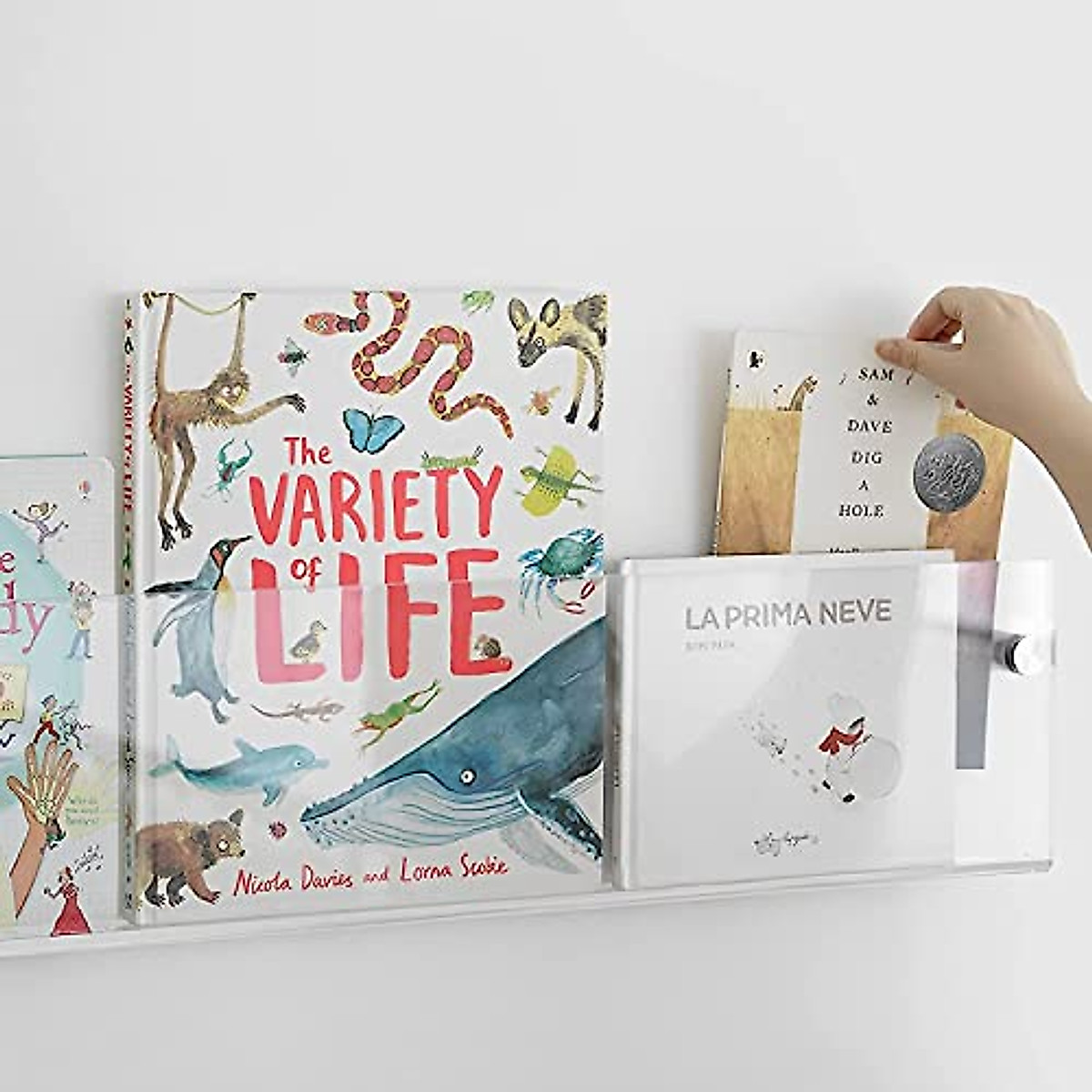 2-Pack Acrylic Magazine Holder Brochure Holder, 17" Record Holder Magazine Rack, Fashion Hanging Bookshelf Literature Storage Rack for Waiting Room, Living Room, Office, Clear 17 Inch