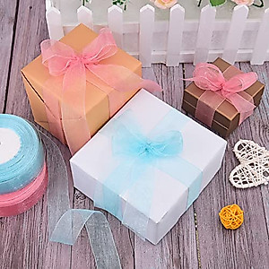 Hapeper 2 Rolls 1 Inch Sheer Organza Chiffon Ribbons for Gift Wrapping DIY Crafts Party Decoration, 50 Yards/ Roll (Pink, Light Blue)