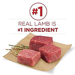 Purina ONE Dry Dog Food Lamb and Rice Formula - 16.5 lb. Bag