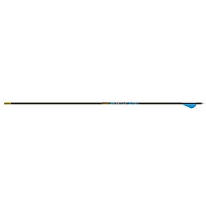 Gold Tip Kinetic KAOS Arrows with Raptor Vane (Pack of 6), Black, 200