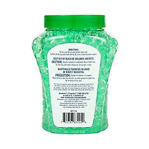 Clorox Fraganzia Air Freshener Beads in Fresh Winter Pine Scent, 12 oz Jar | Gel Beads Air Freshening Scent Beads | Car Air Freshener for Car, Home, or Car