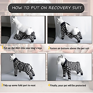 FEimaX Dog Recovery Suit After Surgery, Pet Abdominal Wounds Post Surgical Shirt for Dogs Cats, Puppy Spay Neuter Prevent Licking Onesie Alternative Bandages E-Collar & Cone