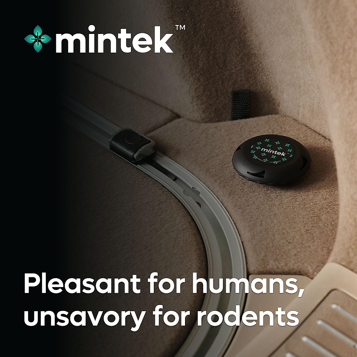 Mintek™ EZ Disk (2-Pack)